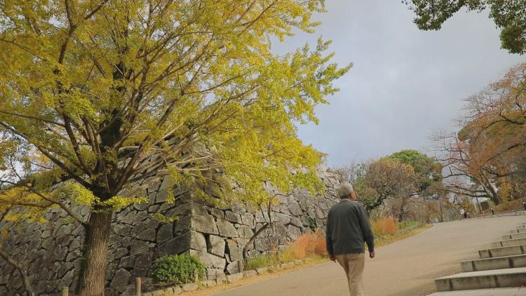 放送内容｜STORY｜KBC九州朝日放送