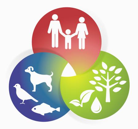 ワンヘルス｜放送内容｜アサデス。GOLD｜KBC九州朝日放送