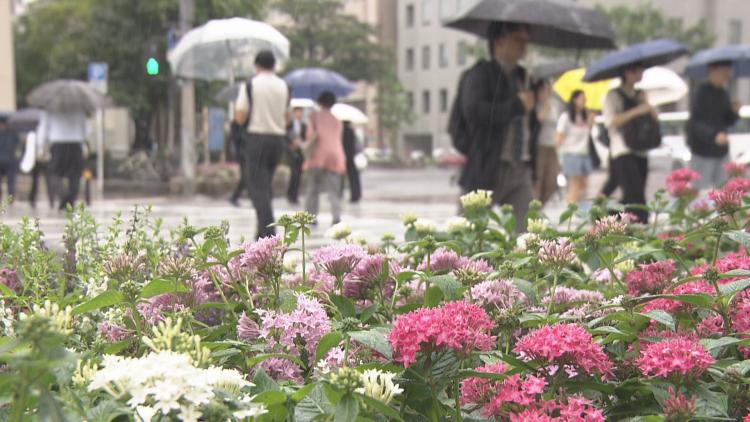 佐賀・福岡 24日朝から大雨に警戒｜KBCニュース