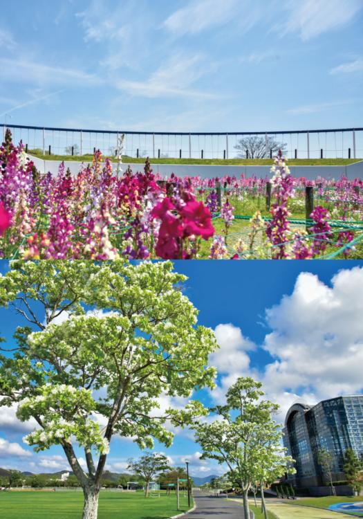 【福岡・佐賀 週末おでかけ♪】2025GW特集！ ｜福岡・九州ジモタイムズ Wish｜KBC九州朝日放送