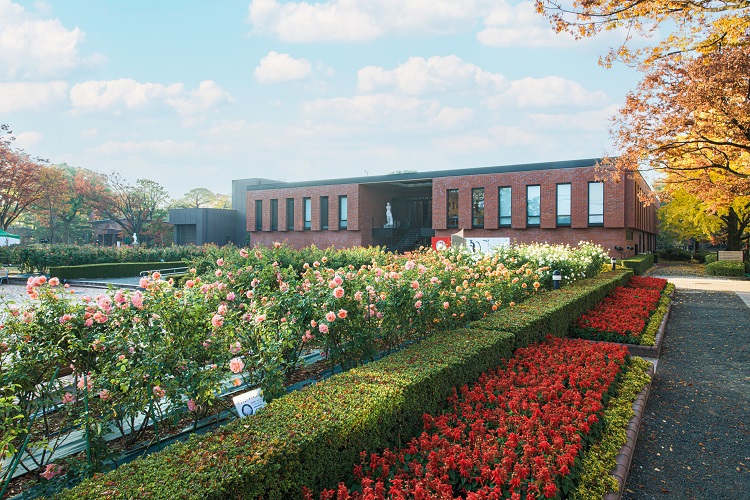 【週末おでかけ♪】福岡・佐賀 11/16、17に予定されているイベントまとめ｜福岡・九州ジモタイムズ Wish｜KBC九州朝日放送